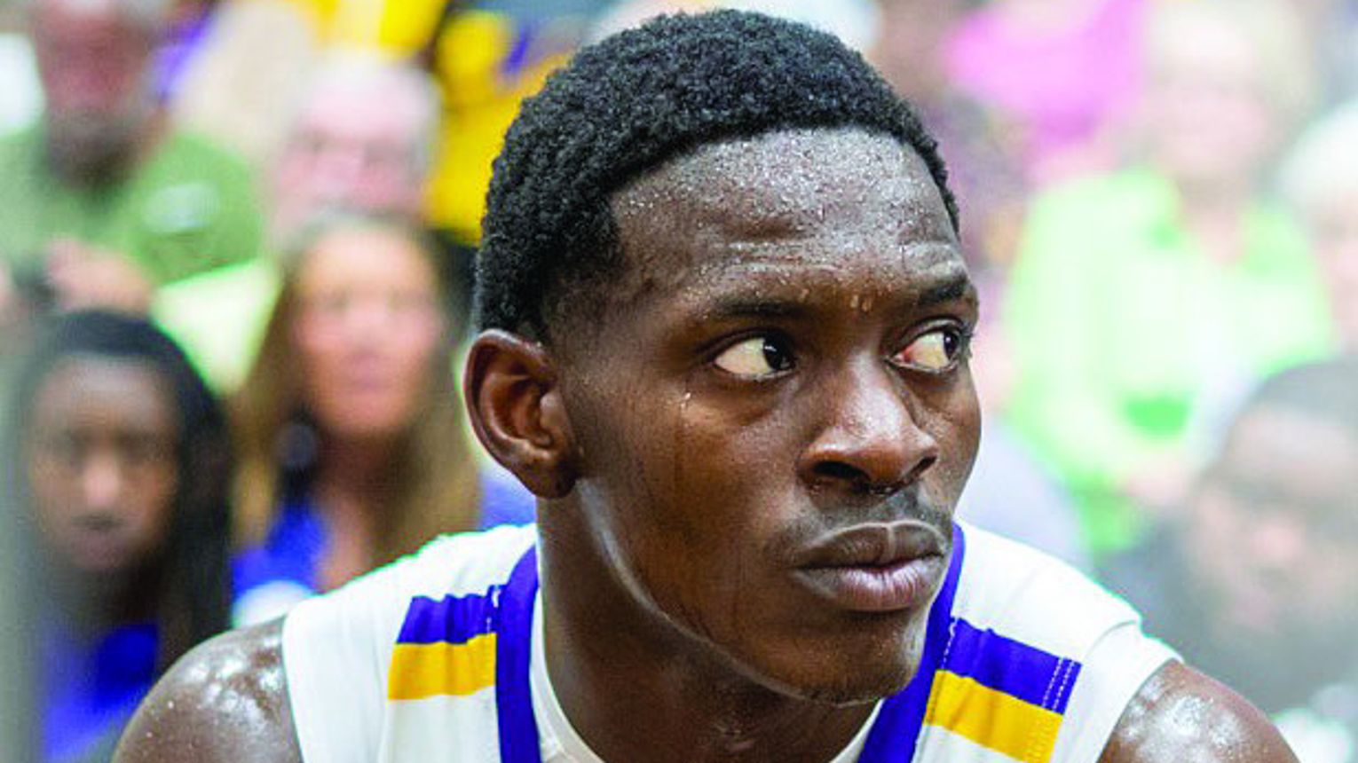 Rayville’s Kashie Natt gains national recognition as NAIA player of ...
